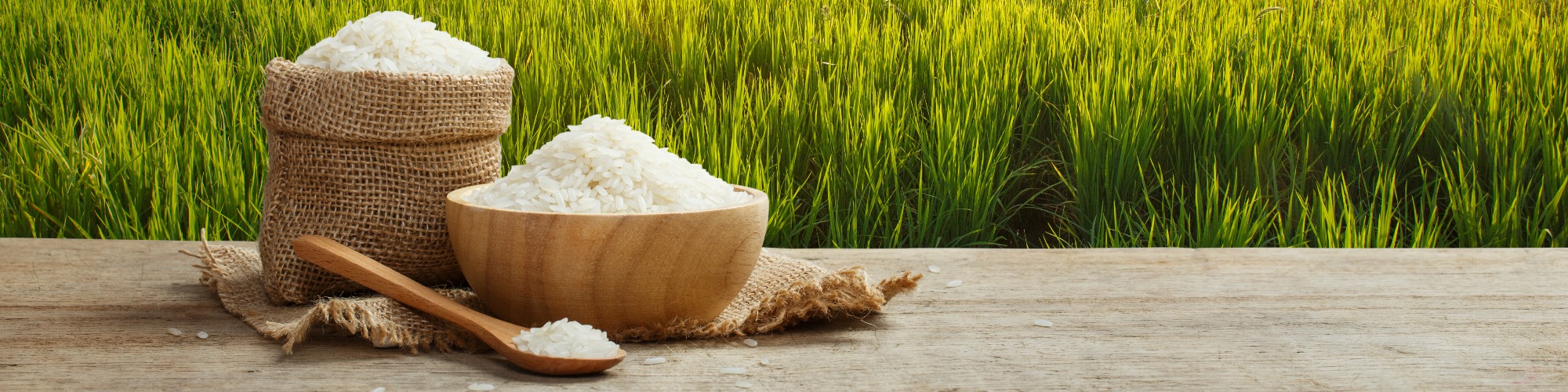 Thailand’s Rice Exports to Witness a Gloomy 2021 - Tridge