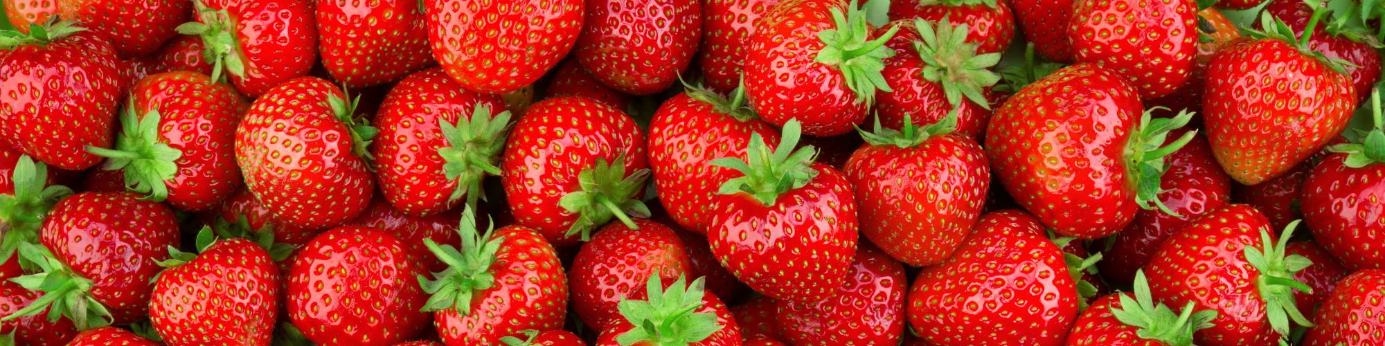 Egyptian Frozen Strawberry Exports are Increasing their Global Market Presence