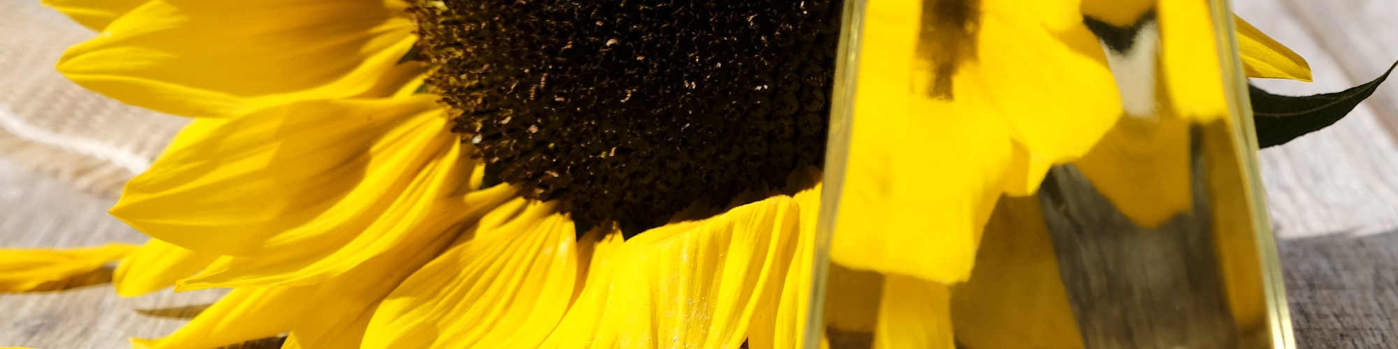 Sunflowers Tumblr Header