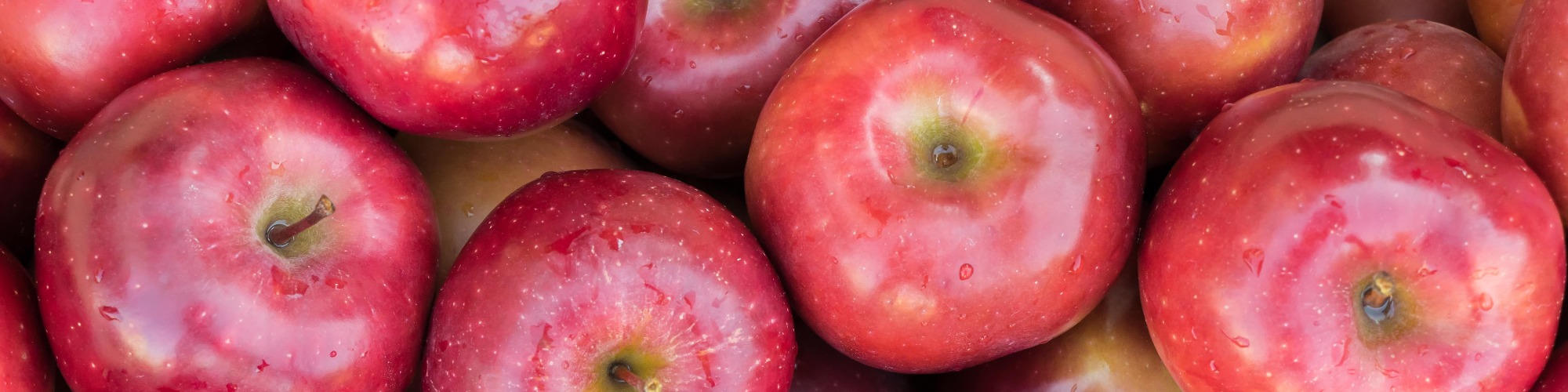 India's Demand for Chilean Apples Spikes - Tridge
