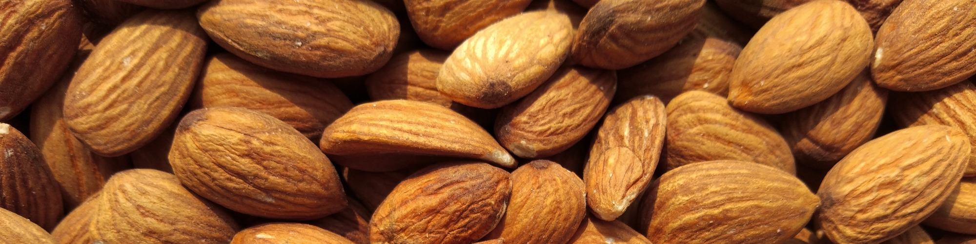 W42: Weekly Nut Update - Tridge