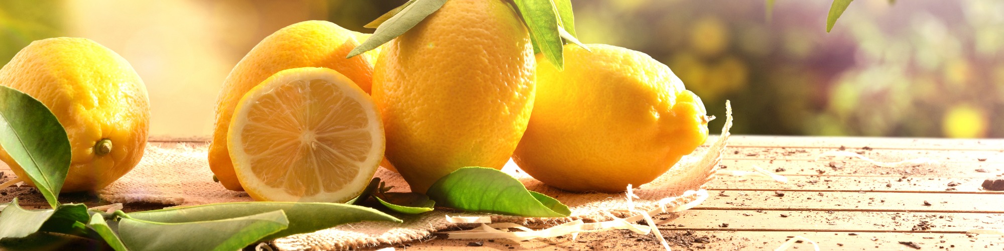 Juicy Year for Argentina Lemon Exports to the US - Tridge