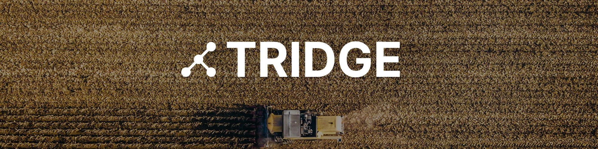 February 2022-Tridge Market Recap Report - Tridge