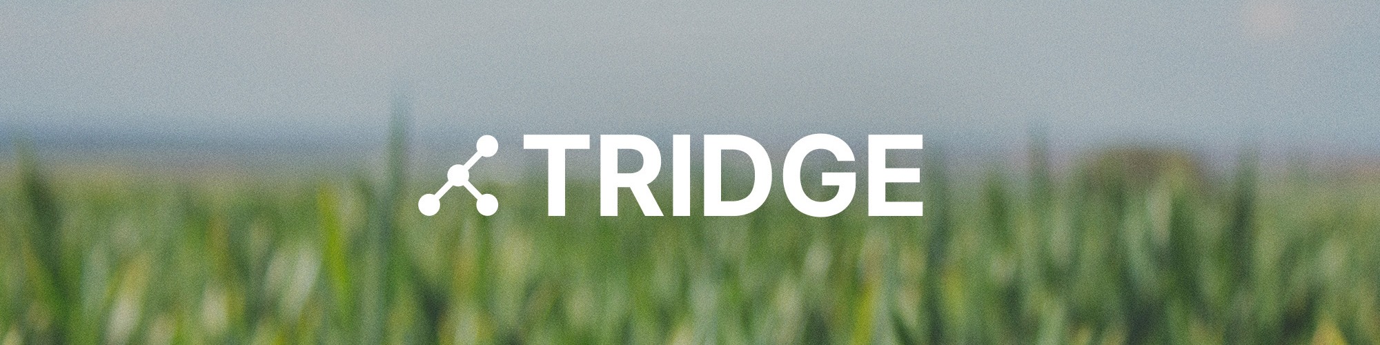 June 2022-Tridge Market Recap Report - Tridge