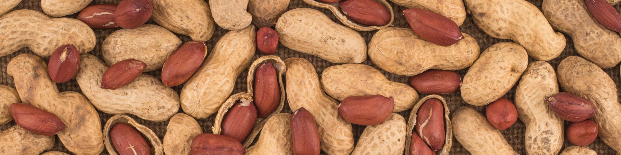 South American Peanuts Will Have Minor Setbacks, Brazilian Ginger in ...