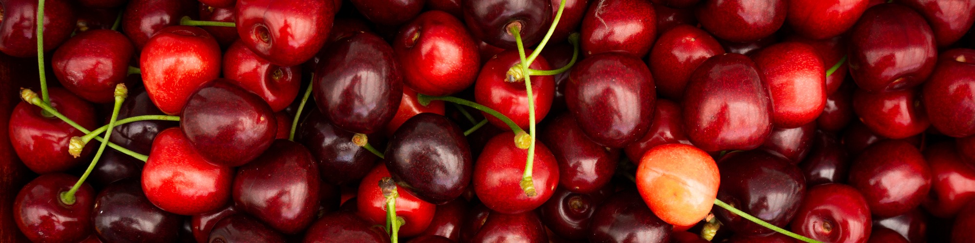 Germany’s cherry imports to pick up in 2021 - Tridge