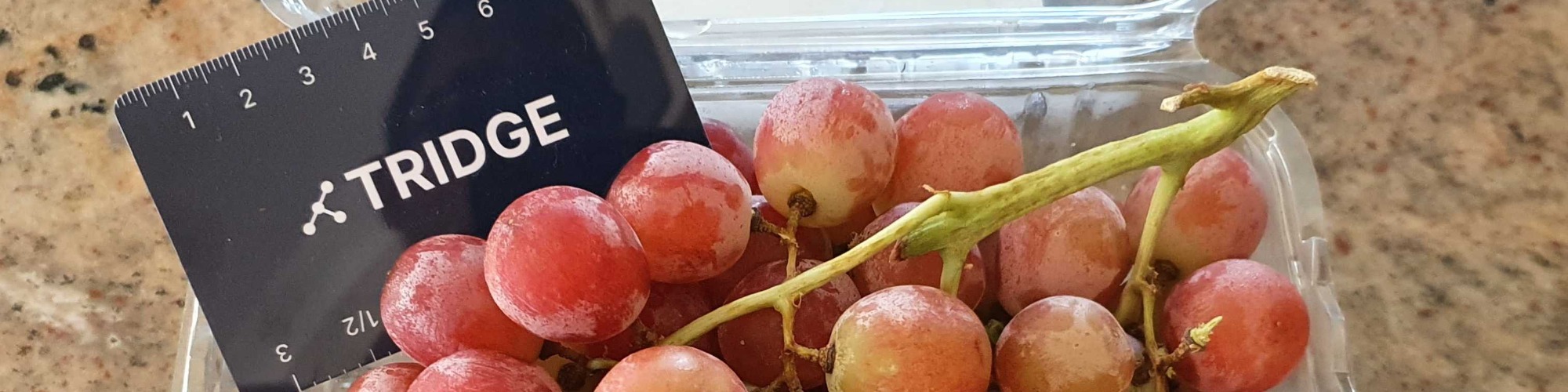 Adverse Weather and Logistics Disruptions Mark the End of the South ...