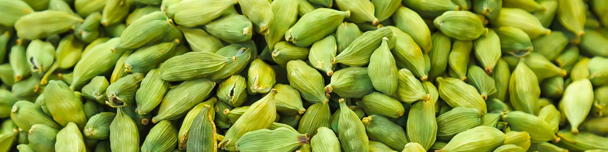 Cardamom Market Unstable due to Irregular Harvest and Lower Demand from ...