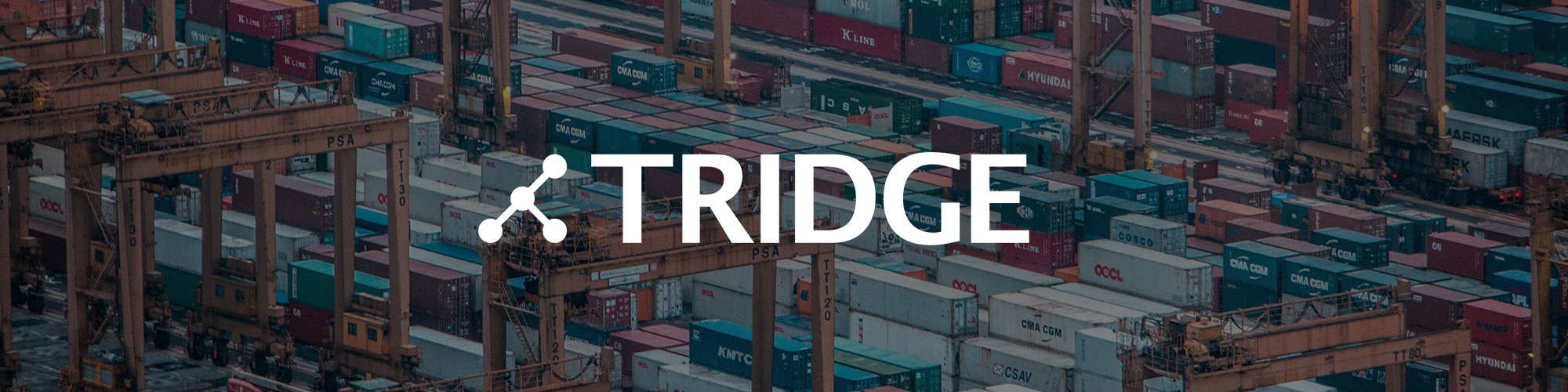 September 2021-Tridge Market Recap Report - Tridge