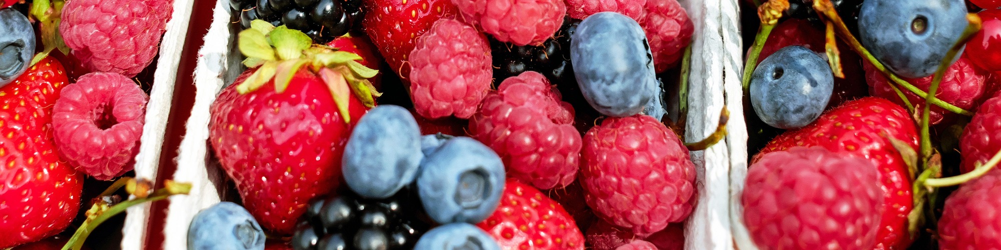 Peru’s Agro Exports Booming in 2021 - Tridge