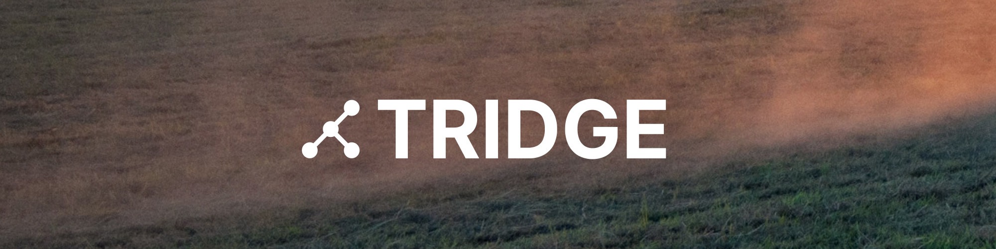 August 2022-Tridge Market Recap Report - Tridge