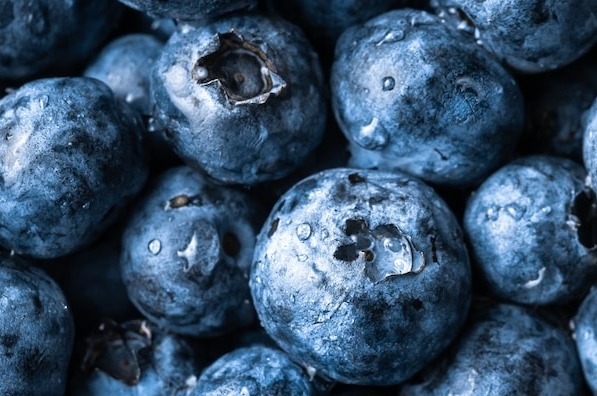 W49 Blueberry Update: Global Blueberry Market Evolves Amid Export ...
