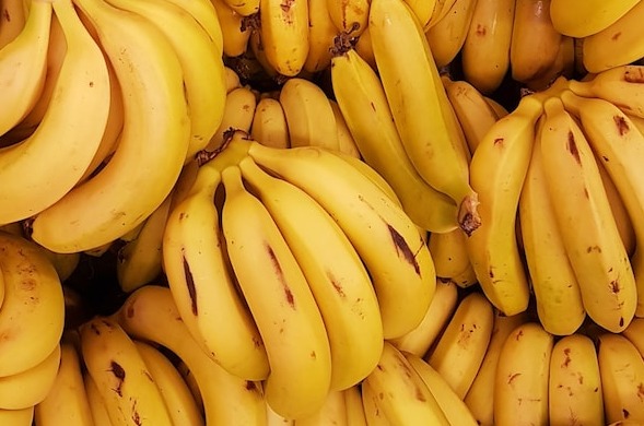 W48 Banana Update: First Shipment of Indian Bananas to the Netherlands ...