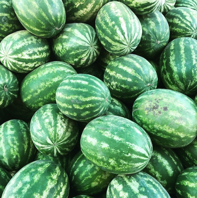 W47 Melon and Watermelon: Surge in Watermelon Prices in São Paulo and ...