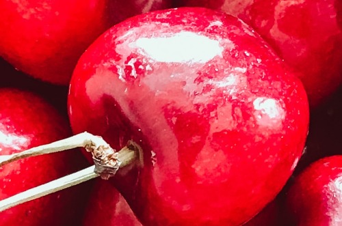 2022/23 Chilean Cherry Season Expects Record-Breaking Export Volumes