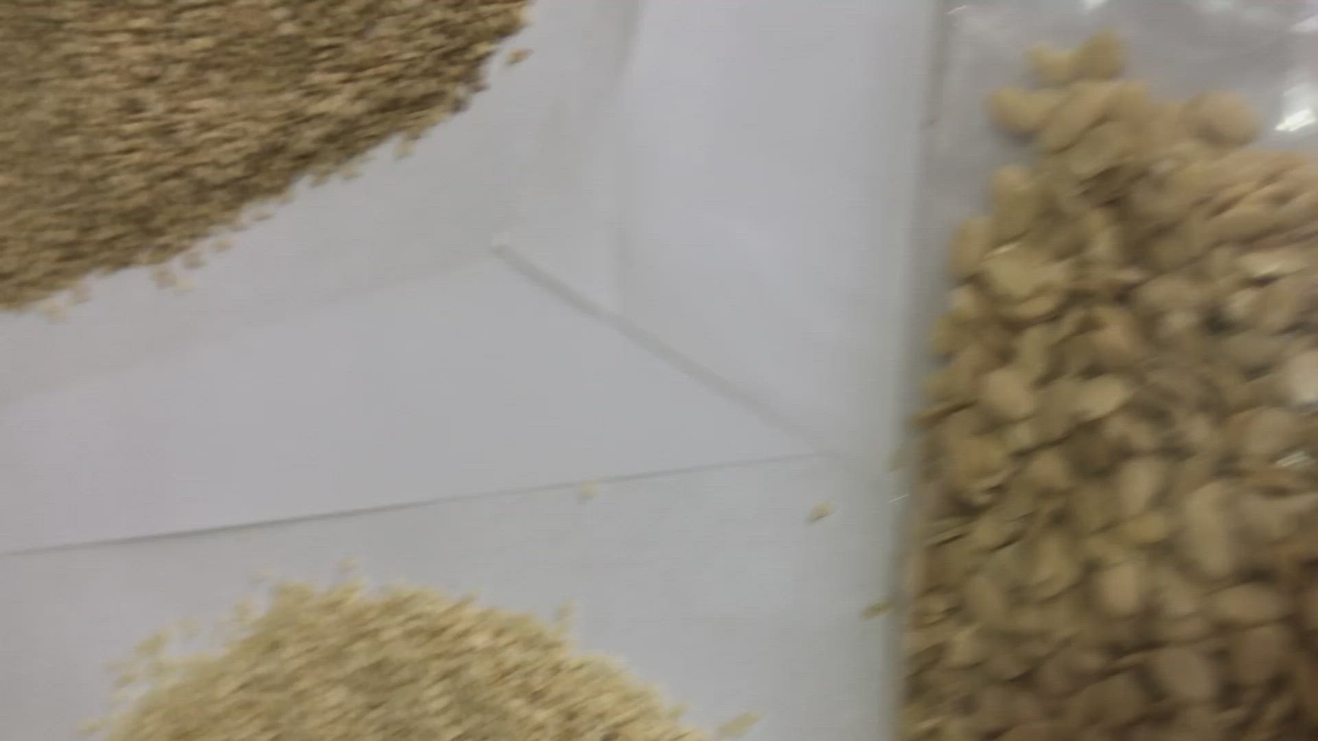 Sesame Seed Offers From Pakistan - Tridge